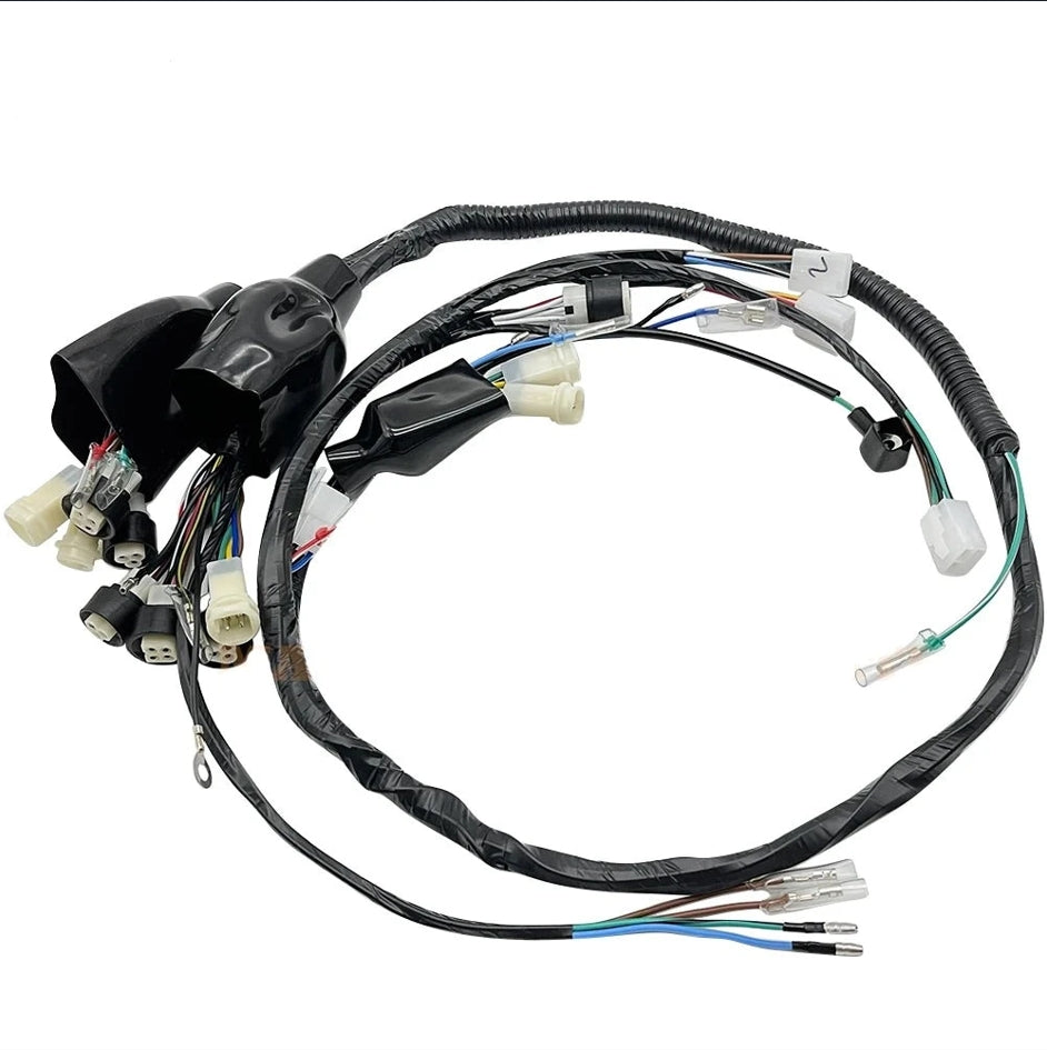 Main Electrical Harness